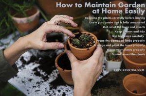 How to Maintain Garden at Home and Keep It Healthy Easily